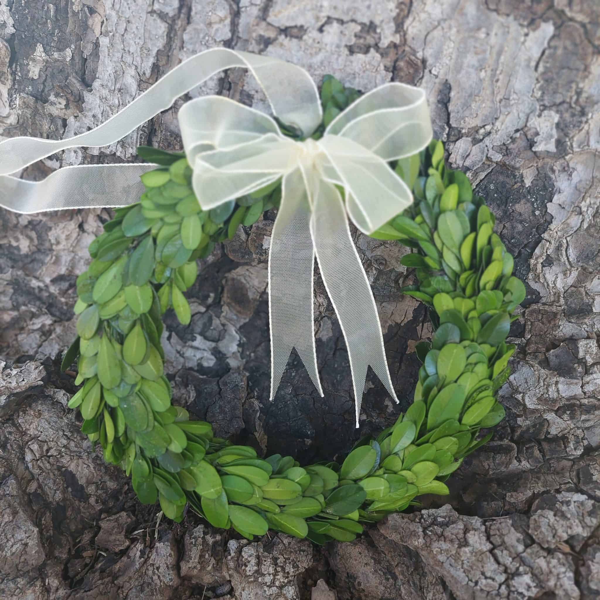 Dried Flowers For Crafts | Preserved Greenery | Floral Home Decor